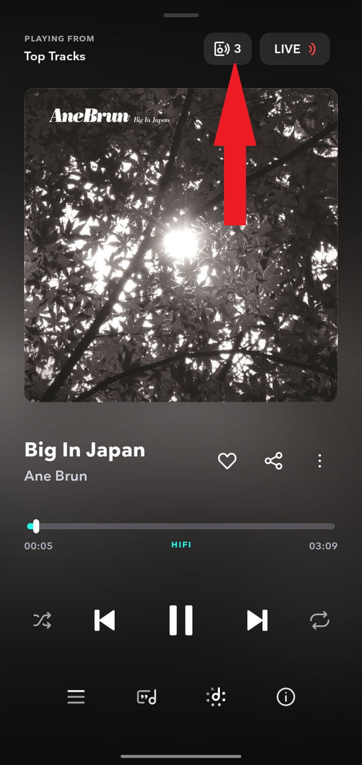 Wat is Tidal Connect? - en hoe werkt het? - In 2025