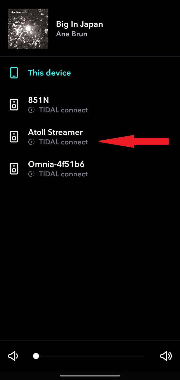 Wat is Tidal Connect? - en hoe werkt het? - In 2025